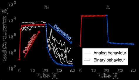 25 Conductance Evolution During The Application Of A Series Of 20
