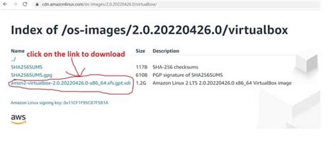 Install Amazon Linux 2 On VirtualBox Suriyal Com