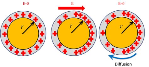 The Stern Layer Polarization Of A Dielectric Particle The Cations Move