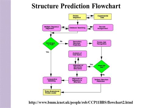 protein structure prediction and classification pptx