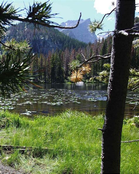 Lilly Lake Photograph By Stephen Schaps
