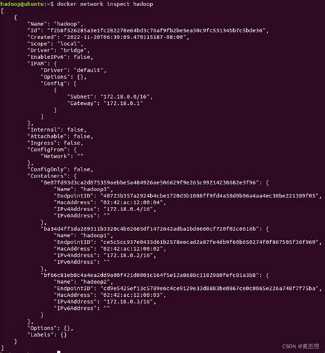 Docker搭建hadoop和hive集群docker Hive Csdn博客