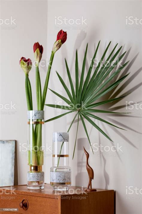 우아한 액세서리와 복고풍 나무 Commode에 현대적인 꽃병에 아름다운 꽃과 잎의 세련되고 꽃 구성 베이지 색 벽에 그림자와 꽃 개념 인테리어 디자인 0명에 대한 스톡 사진