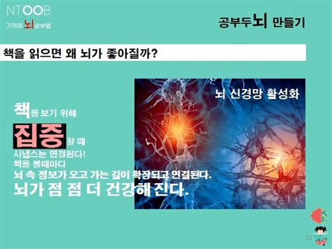 책을 읽으면 왜 뇌가 좋아질까 뇌과학기반 최첨단 뉴로피드백 공부두뇌 만들기 뇌신경망 활성화 우뇌를 활용한 독서습관 효과 5분에 책1권 읽기 문정초가주초가동초송파중