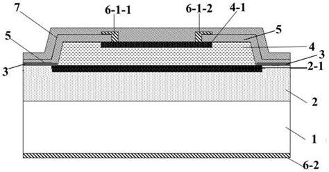 Single Photon Avalanche Photodetector And Preparation Method Thereof Eureka Patsnap