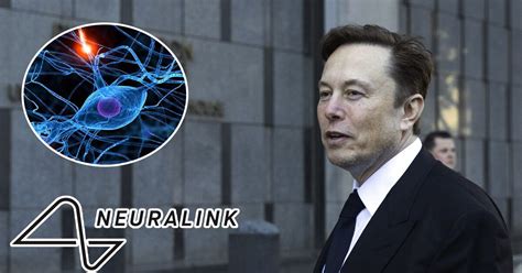 Neuralink De Elon Musk Se Prepara Para Hacer Historia Con Su Primer