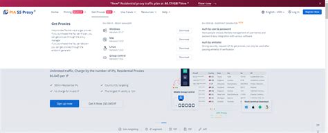 How To Add And Use Pia S5 Proxy In Ixbrowser