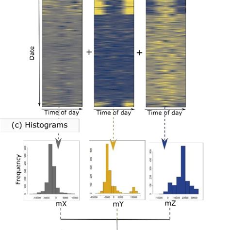 Different Visualisations Of Magnetic Field Data For Alpine Swift