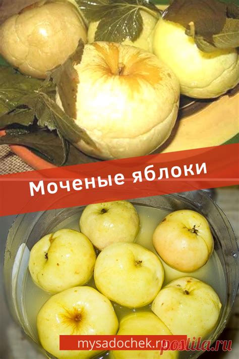 Уже с давних времен самым распространенным способом заготовки яблок Рецепты дачные заготовки