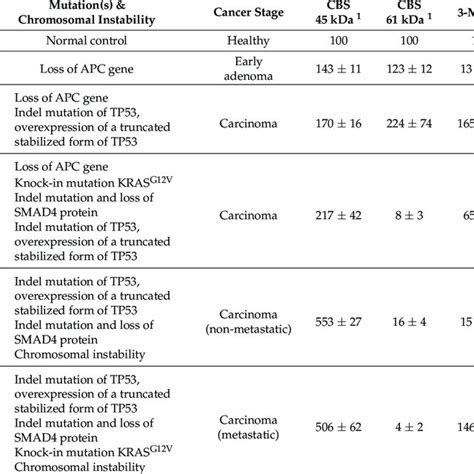 The Different Types Of Human Leukemia Cell Lines Created With