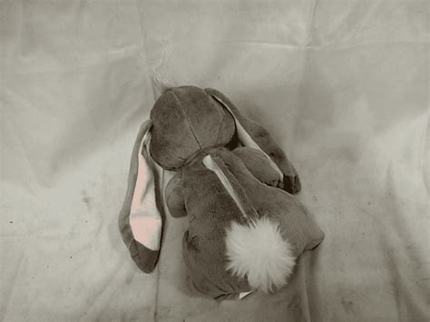 Lot Of 13 Disney Sofia The First Bunny Rabbit Plush Dutch Goat