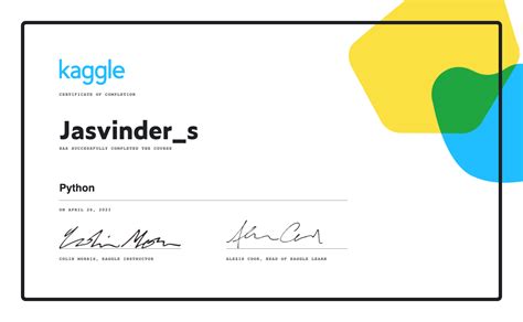 Jasvinders Completed The Python Course On Kaggle