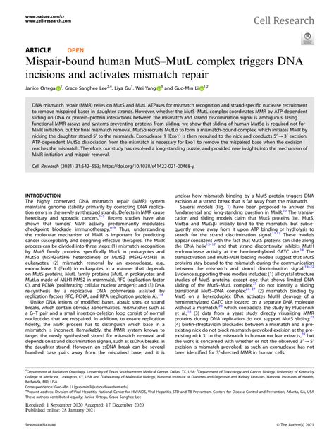 Pdf Mispair Bound Human Muts Mutl Complex Triggers Dna Incisions And Activates Mismatch Repair