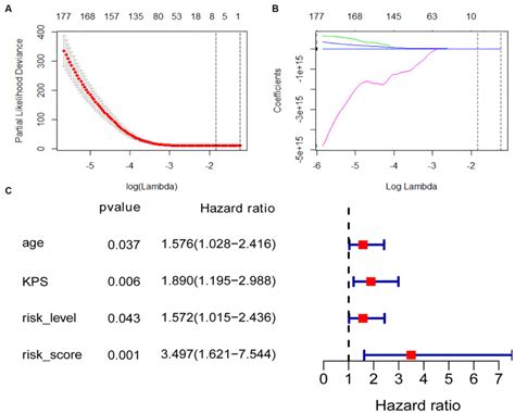 Coefficient Convergence Of Lasso Cox Model For Screening Radiomics