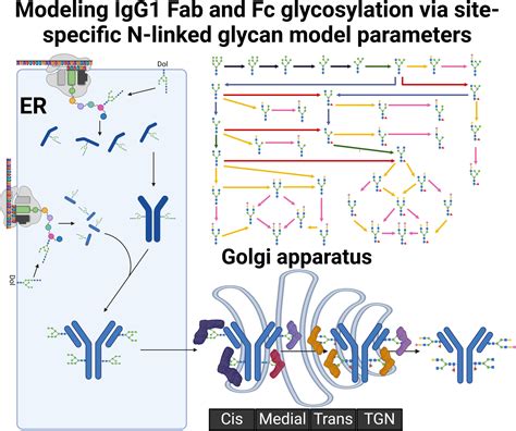 Biotechnology And Bioengineering Wiley Online Library