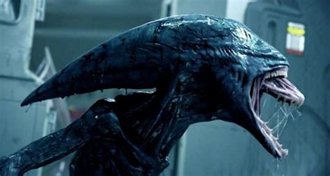 익스트림무비 질문 에일리언 시리즈 제노모프