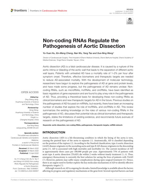 Pdf Non Coding Rnas Regulate The Pathogenesis Of Aortic Dissection