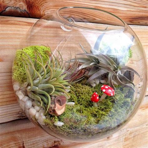 10 Terrarium Ideas For A Beautiful Plant Display Real Homes