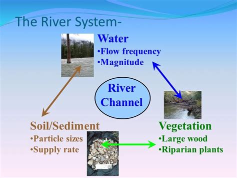 River Sediment