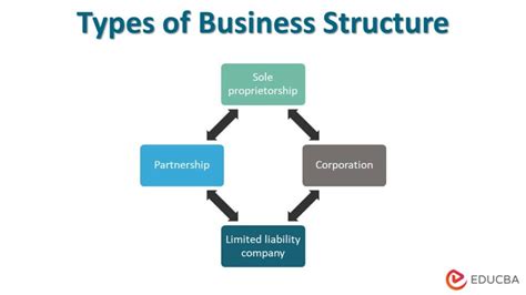 Business Structure Purpose Types Chart Example