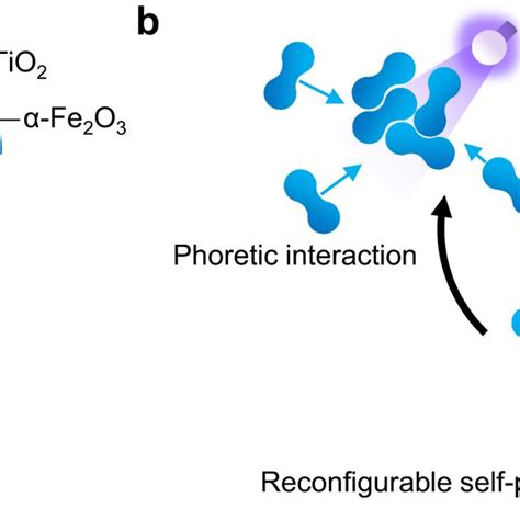 Reconfigurable Self Assembly Of Tio2α Fe2o3 Microrobots A