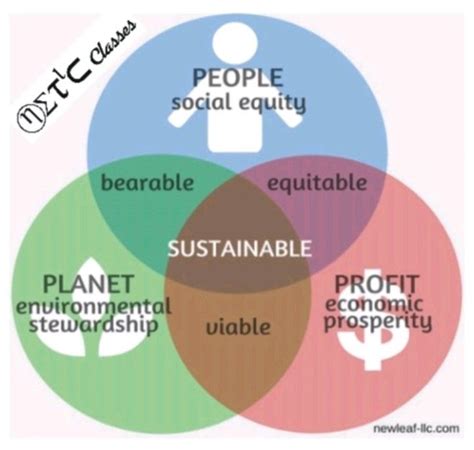 Noetic C Posted On Linkedin