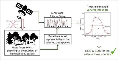 Notablepaper Treephenology Remotesensing Remote Sensing Mdpi