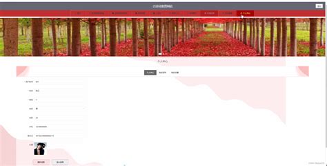 古诗词鉴赏网站 程序 开题报告 开题报告 源码） 诗词鉴赏网pc端实验内容 csdn博客