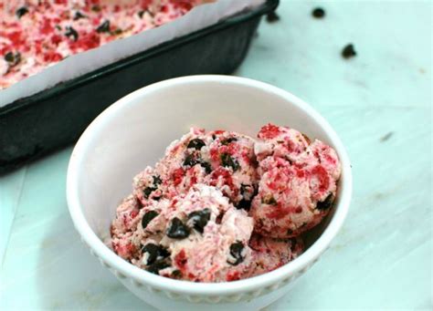 Raspberry Chip Ice Cream For The Love Of Gourmet