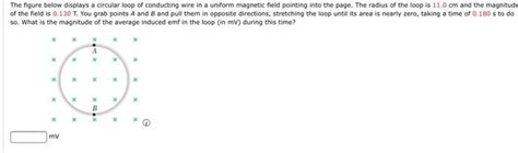 Solved The Figure Below Displays A Circular Loop Of Chegg