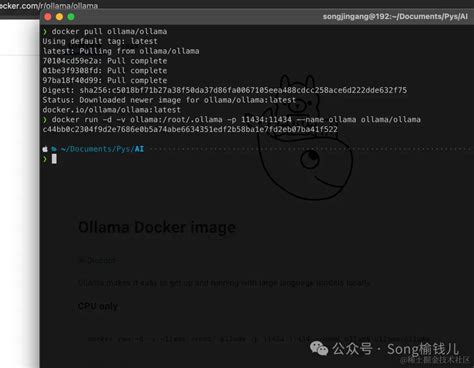 ai菜鸟向前飞 — 本地部署大语言模型之ollama（保姆级指北） docker pull ollama csdn博客