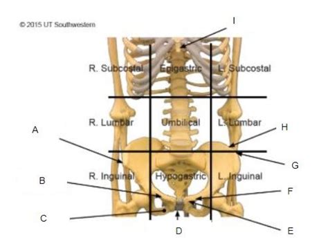 Lab Flashcards Quizlet