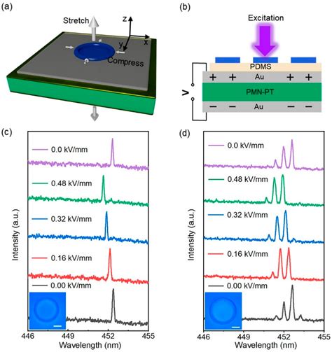 Electrically Tunable Polymer Whispering Gallery Mode Laser