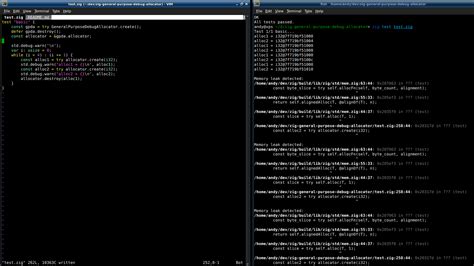results from part 2 of zig live coding implementing a general purpose allocator optimized for