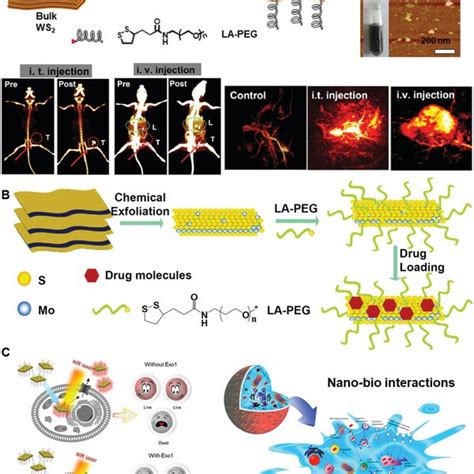 2d Mof Nanosheets For Imaging And Cancer Therapy A 2d Zn‐tcpp Mofs