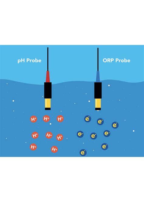 Atlas Scientific Mini Lab Grade Orp Probe Sensors And Probes Sensors And Probes