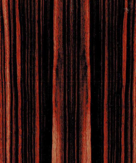 Macassar Ebony Gary Hutton Design