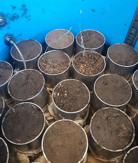 Bulk Density Is An Indicator Of Soil Health