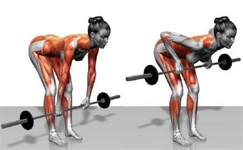 Bent Over Barbell Row Proper Form Benefits Muscles Worked And Variations