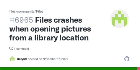 Files Crashes When Opening Pictures From A Library Location · Issue 6965 · Files Community