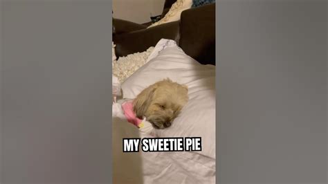 잘때만 이쁜게 아니에요😌 Youtube