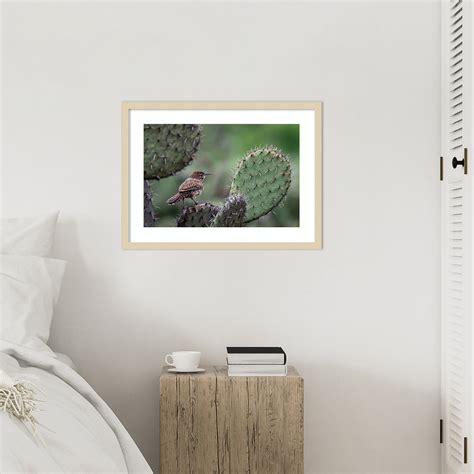 Dakota Fields Cactus Wren On Cactus By Brandon Gregorius Wood Framed