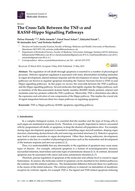 Pdf The Cross Talk Between The Tnf α And Rassf Hippo Signalling Pathways