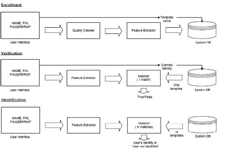 Enrollment Identification And Verification In A Biometric System Download Scientific Diagram