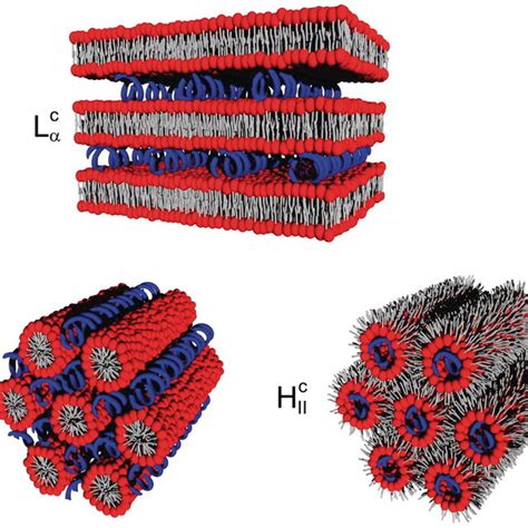 Schematic Representation Of The Structure Of Lamellar And Hexagonal