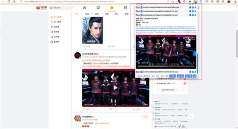 Chrome Cat Catch 猫抓v240 枫音应用