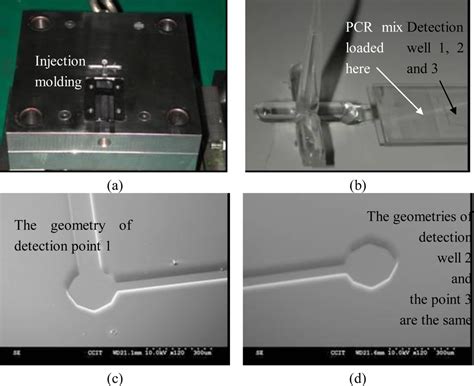 Sensors Special Issue Dna Sensors And Biosensors
