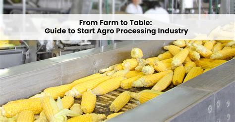 How To Start Value Added Agro Processing Industry Solutionbuggy