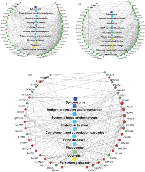Proteomics Results Of Opd And Opd′ A Venn Plot Of Three Compared