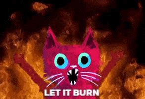 Art Burn  Find And Share On Giphy